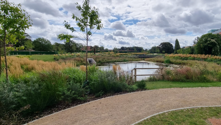 Springfield Park