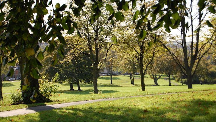 A Guide to Bristol’s Best Gardens and Green Spaces